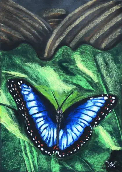 Butterfly by Ambre Kalène » ART GALLERY